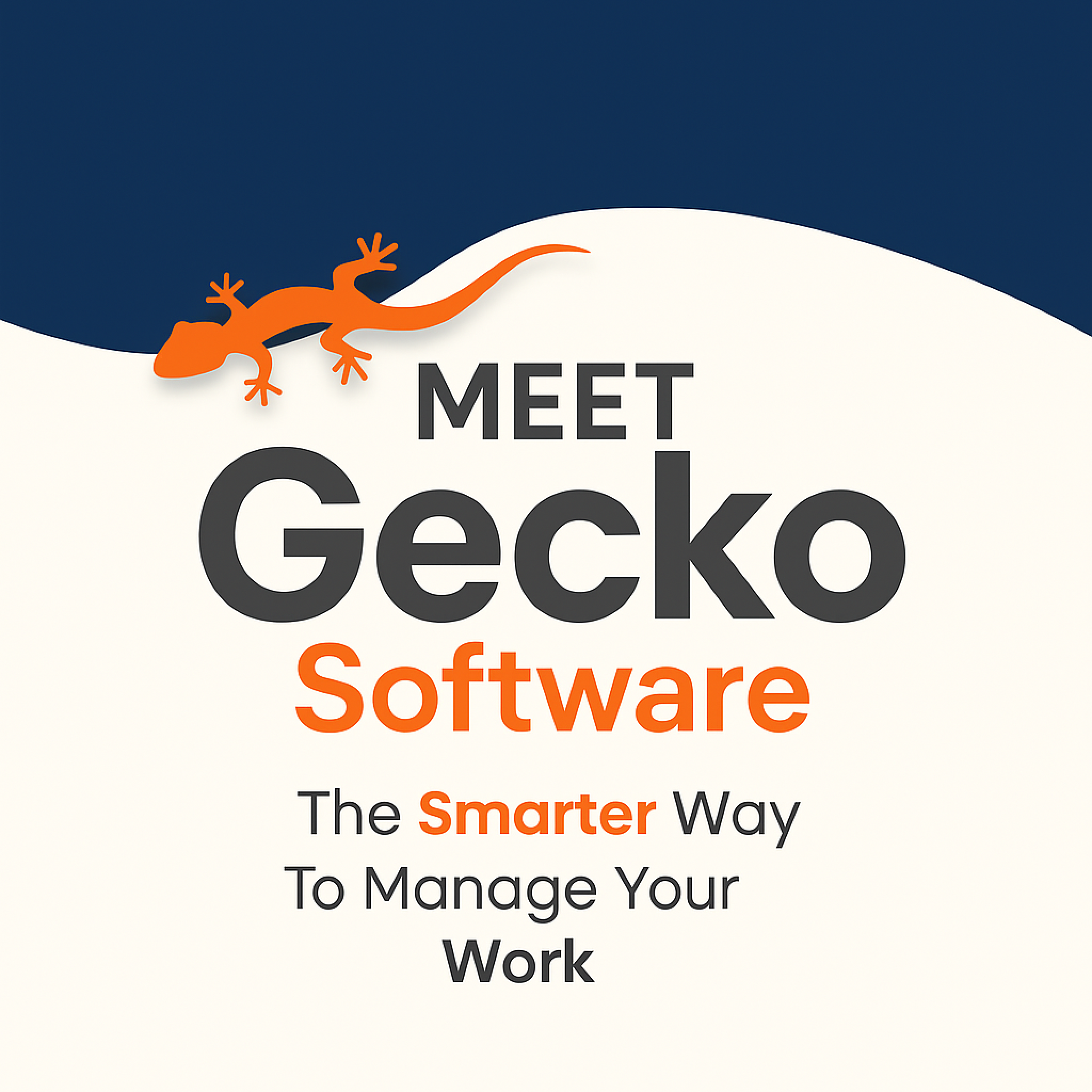 Commissioning Management Systems Software - Gecko Software